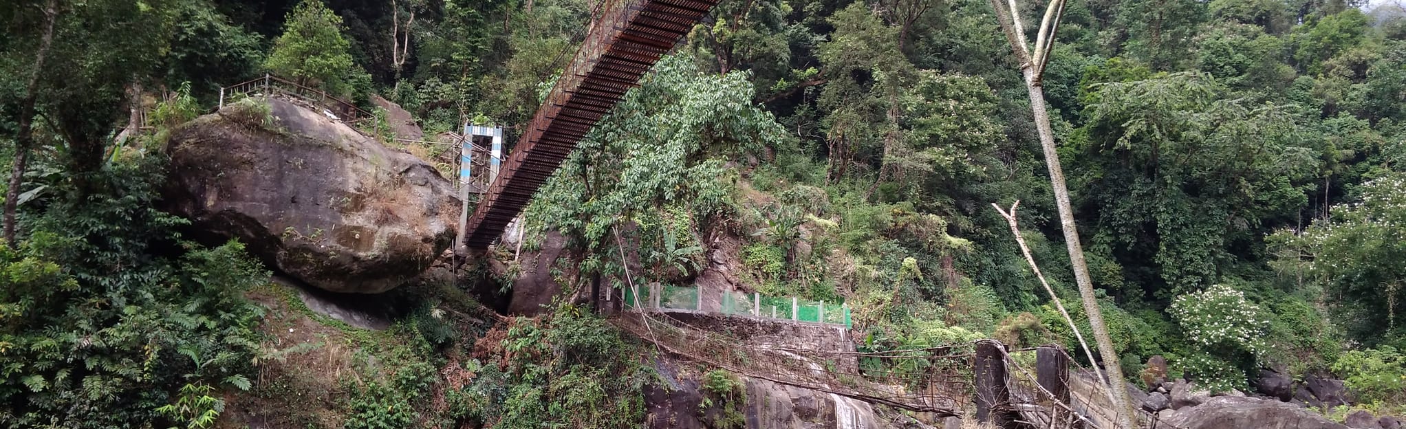 Nongriat Trek - Double Decker Living Root Bridge - Meghalaya, India ...
