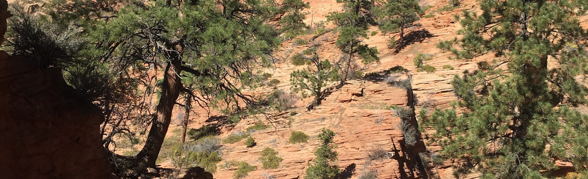 Upper Keyhole Canyon: 22 Reviews, Map - Utah | AllTrails