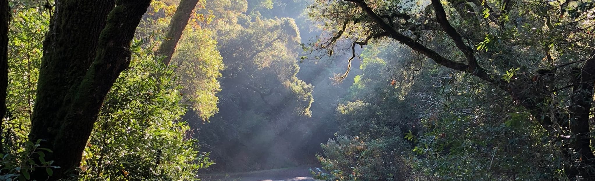 Sprig Trail and Blackhawk Canyon Loop: 180 Reviews, Map - California ...