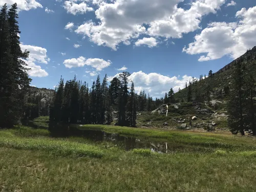 10 Best Trails and Hikes in Blairsden Graeagle | AllTrails