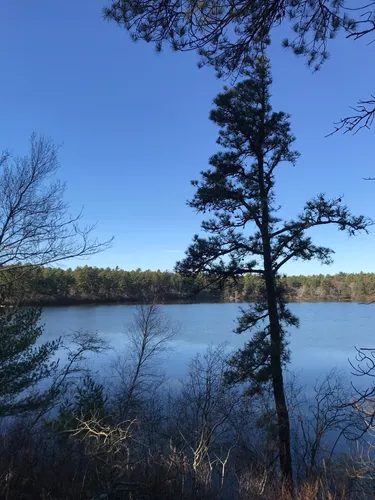 Best Hikes and Trails in Myles Standish State Forest | AllTrails