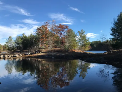 Best Hikes and Trails in Mill Pond Conservation Area | AllTrails