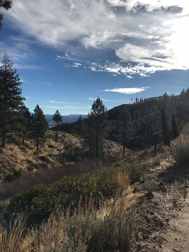 2023 Best 10 Backpacking Trails in Humboldt-Toiyabe National Forest ...