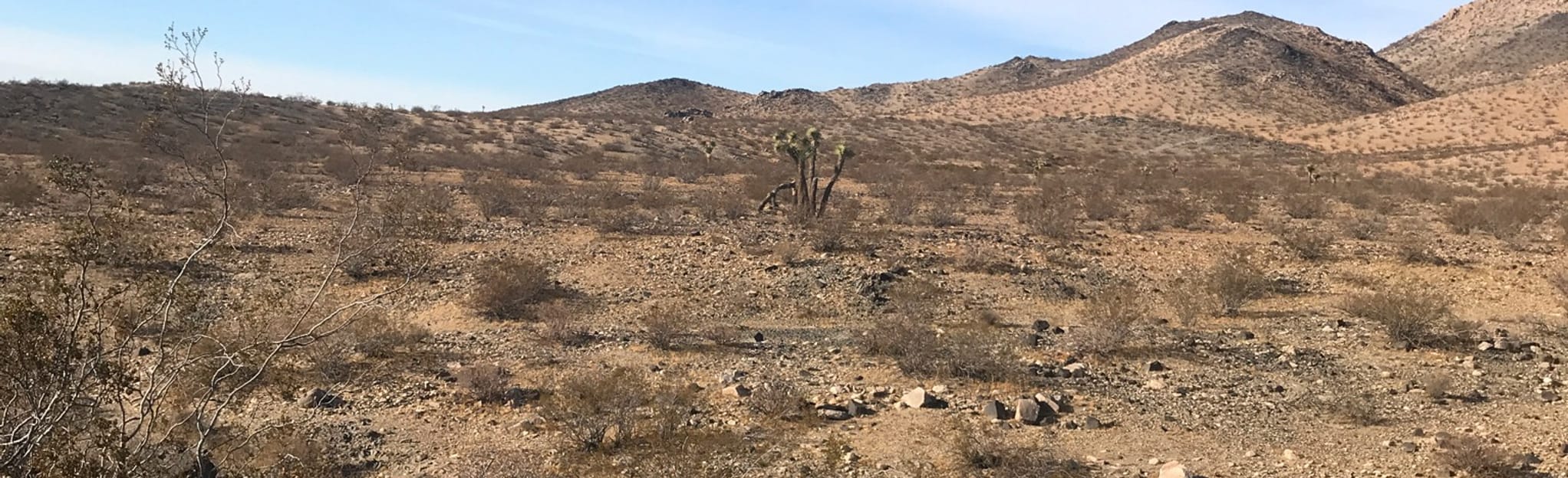 Resurrection Hill, Rabbit Hole Mine and Shadow Mountain OHV Trails: 47 ...
