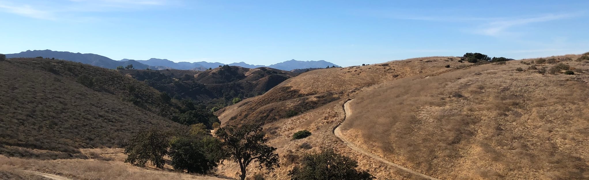 Cheeseboro Canyon, Sheep Corral, and Palo Comado Canyon Loop ...