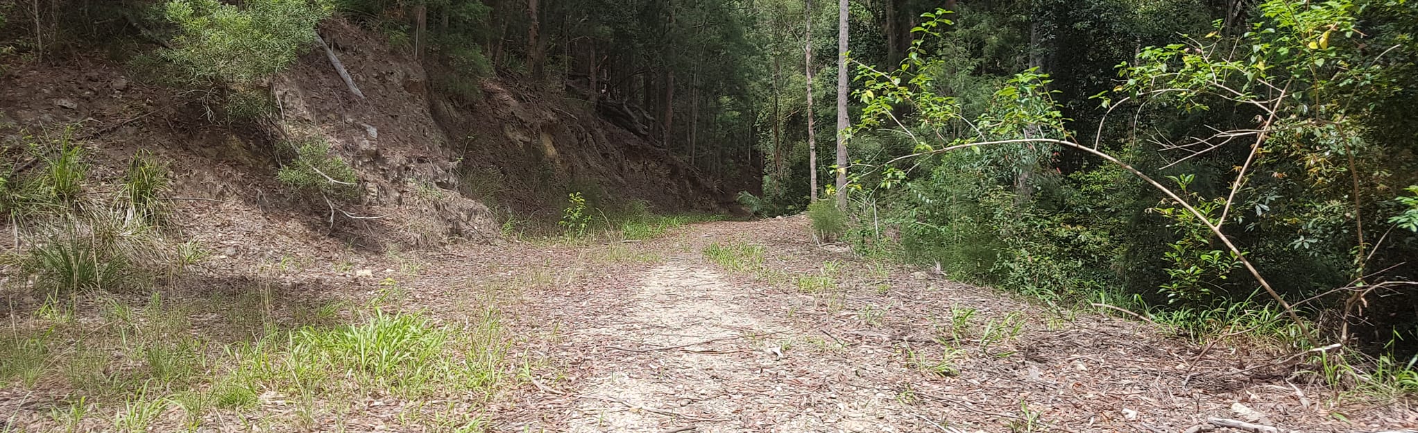 Orara Escarpment 4WD Track: 10 Reviews, Map - New South Wales ...