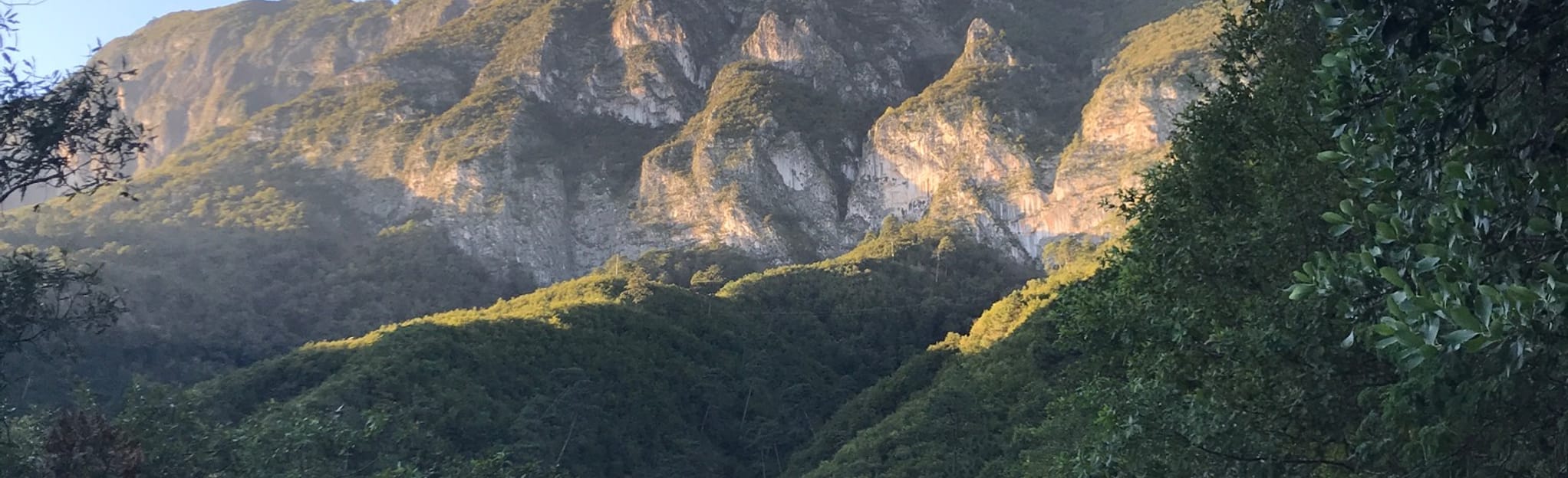 Colorines - Don Toño 3 - Epazote - Meseta, Nuevo León, Mexico - Map ...