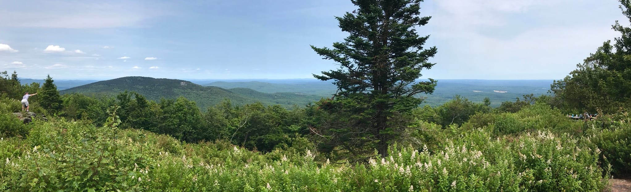 Wapack Trail: 135 Reviews, Map - New Hampshire | AllTrails