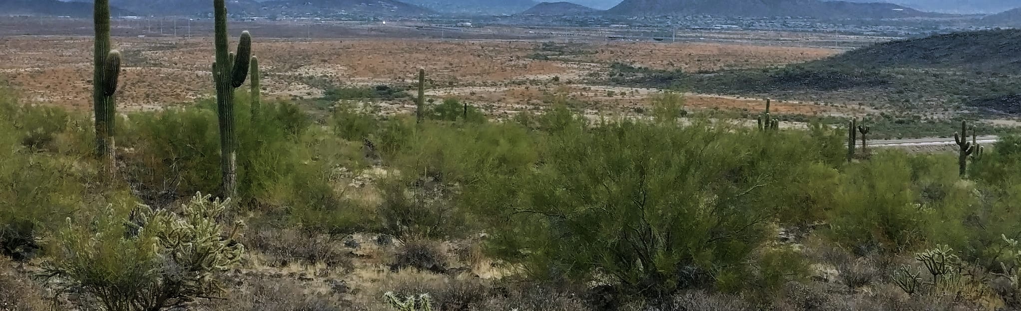 Basalt, Palisade, and Circumference Trail Loop - Arizona | AllTrails