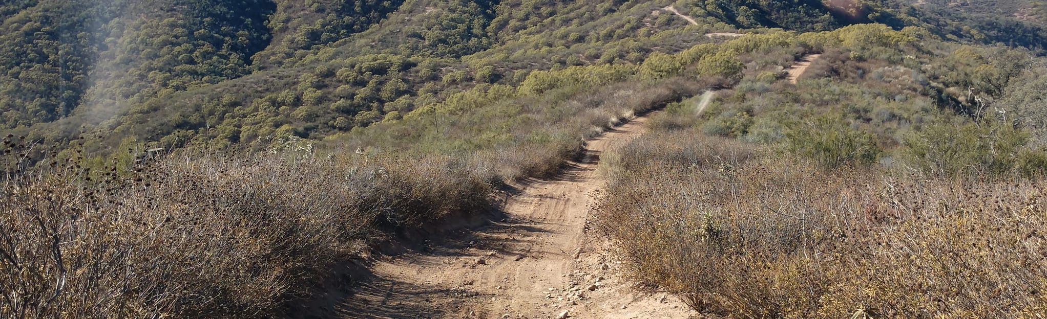 Rockfront Ranch OHV, California - 7 Reviews, Map | AllTrails