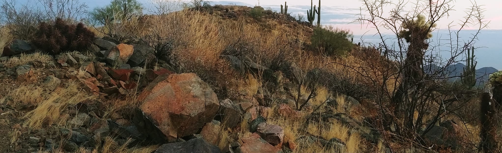 Tramonto Overlook, Arizona - 165 Reviews, Map | AllTrails