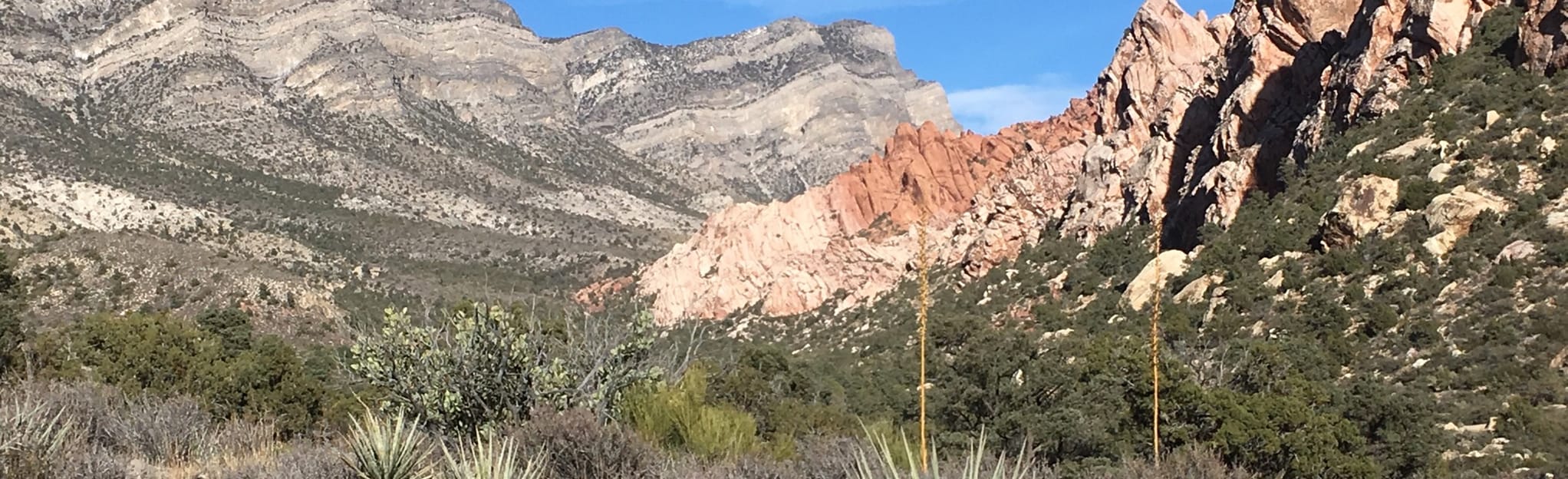 La Madre Springs Trail: 949 Reviews, Map - Nevada | AllTrails
