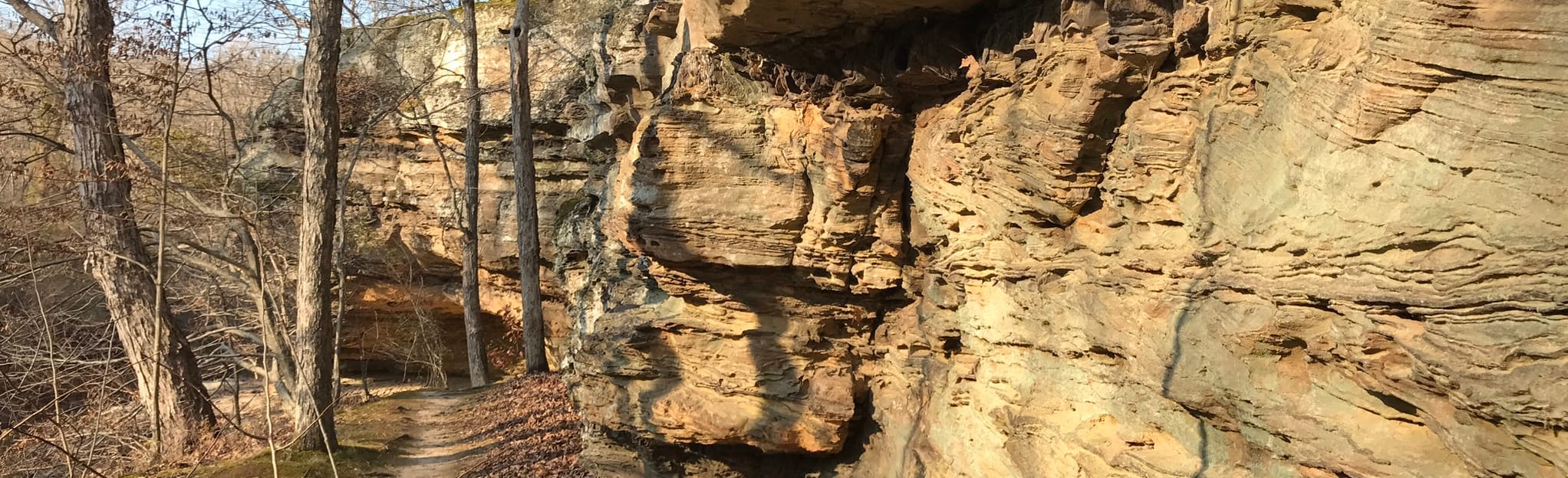 Rocky Bluff Trail, Illinois - 654 Reviews, Map | AllTrails