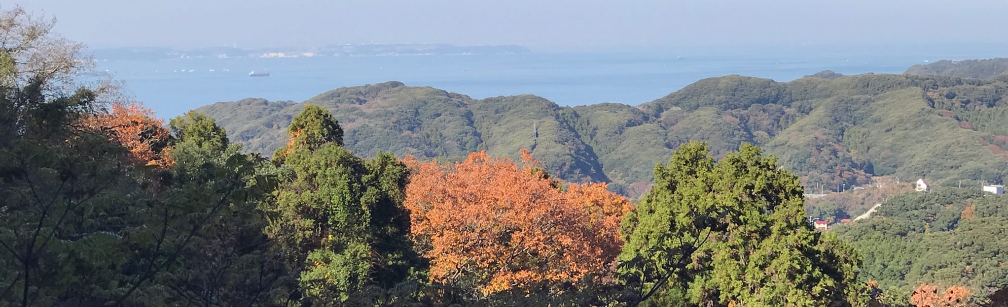 AllTrails | Observation Deck - Sanroku Station Loop: 4 Reviews, Map ...