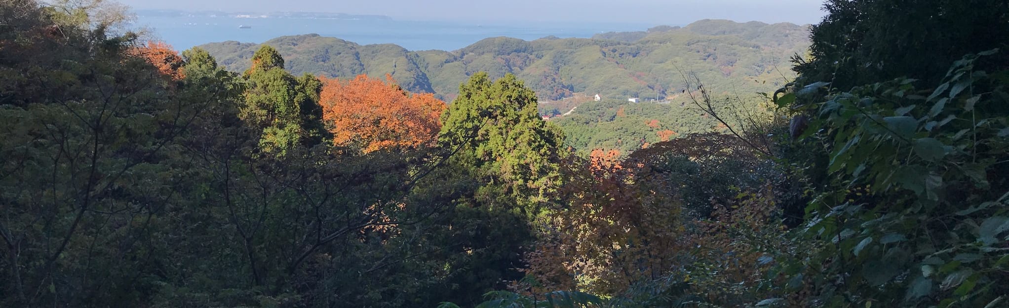 Mount Nokogiri: Shariki-michi Trail - Chiba, Japan | AllTrails