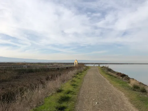 Best Hikes and Trails in Alviso Marina County Park | AllTrails