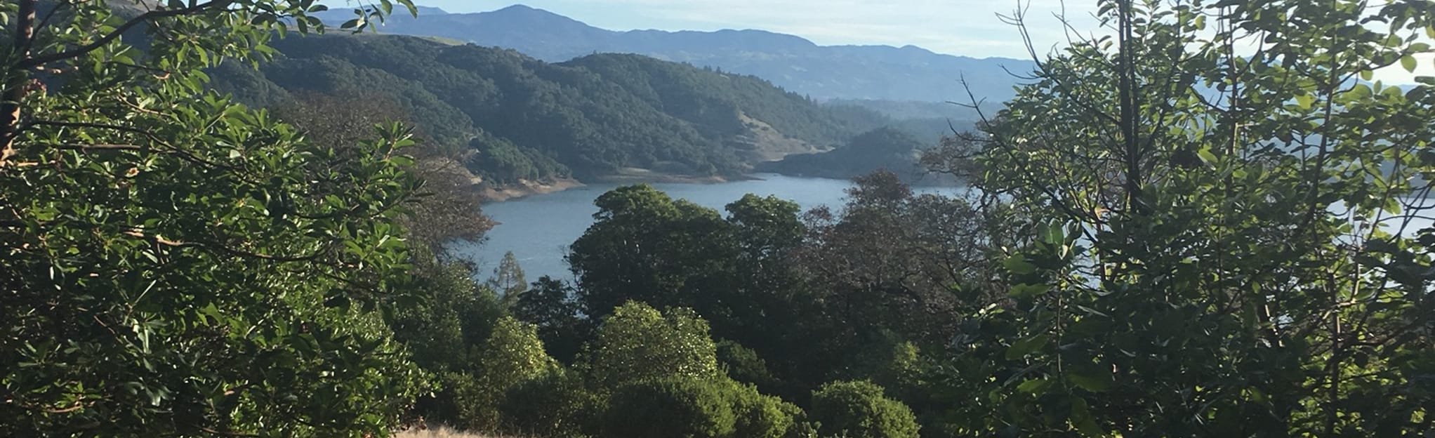 Oak Knoll Trail, California - 94 Reviews, Map | AllTrails