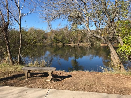 2023 Best Forest Trails in Helotes | AllTrails