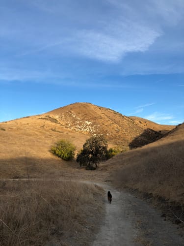 Best 10 Hikes and Trails in Cheeseboro/Palo Comado Canyons | AllTrails