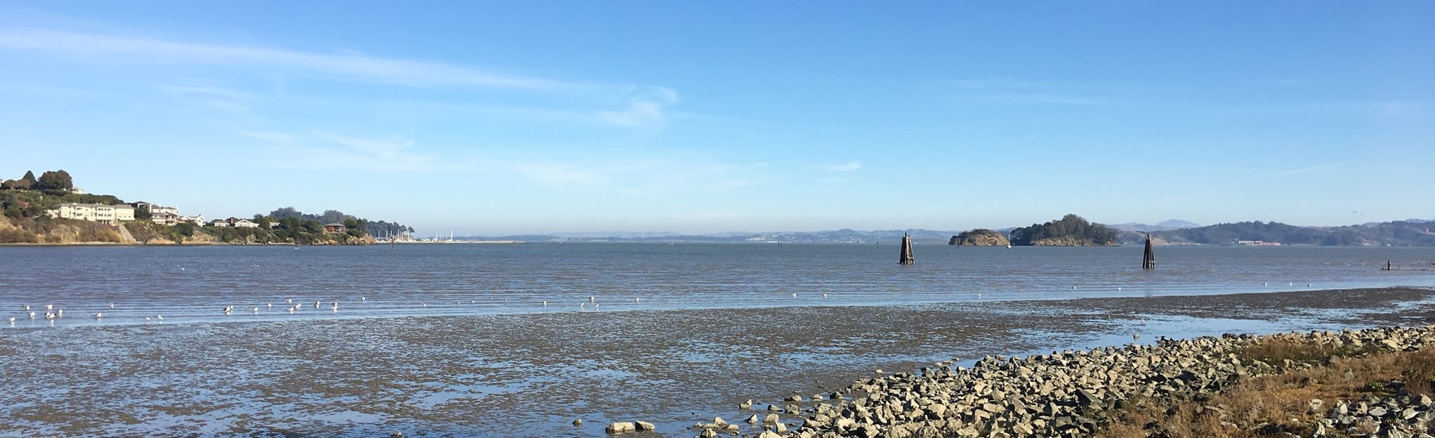 San Rafael Bay Shoreline Path: 204 Reviews, Map - California | AllTrails