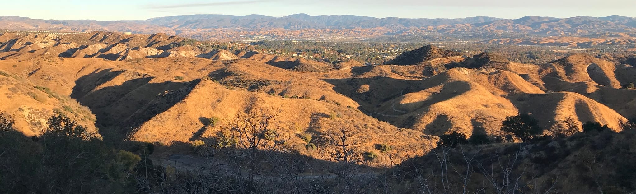 Towsley Canyon Short Loop : 1.190 fotos - Califórnia | AllTrails