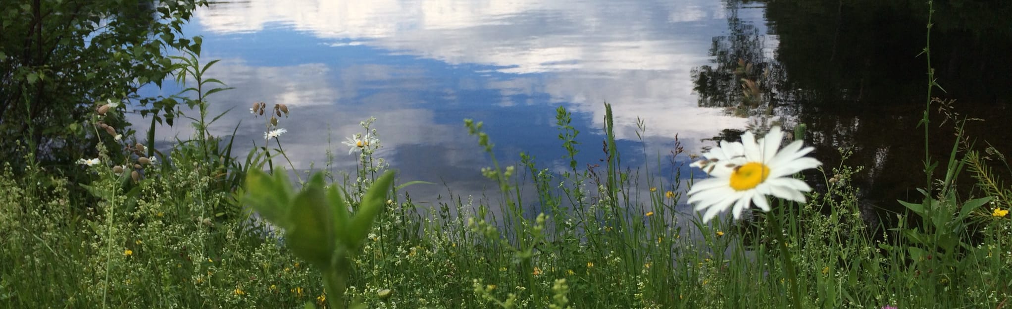 Archer Vly Trail, New York - 62 Reviews, Map | AllTrails