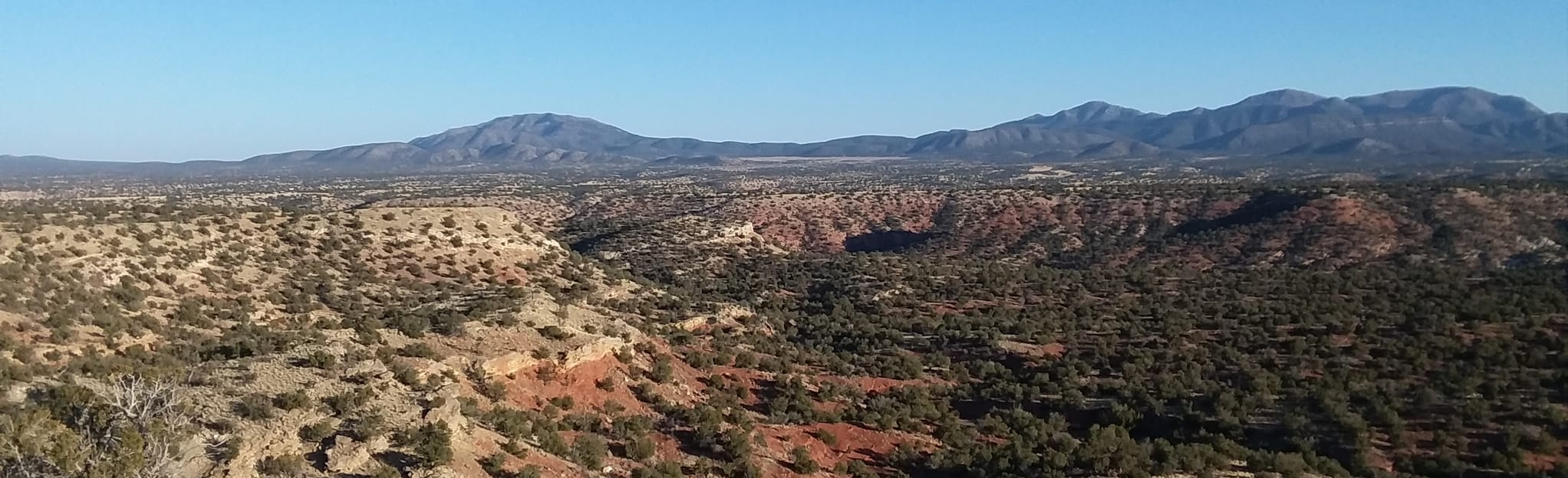Golden Open Space Mesa Trail Loop: 123 fotos - Nuevo México | AllTrails