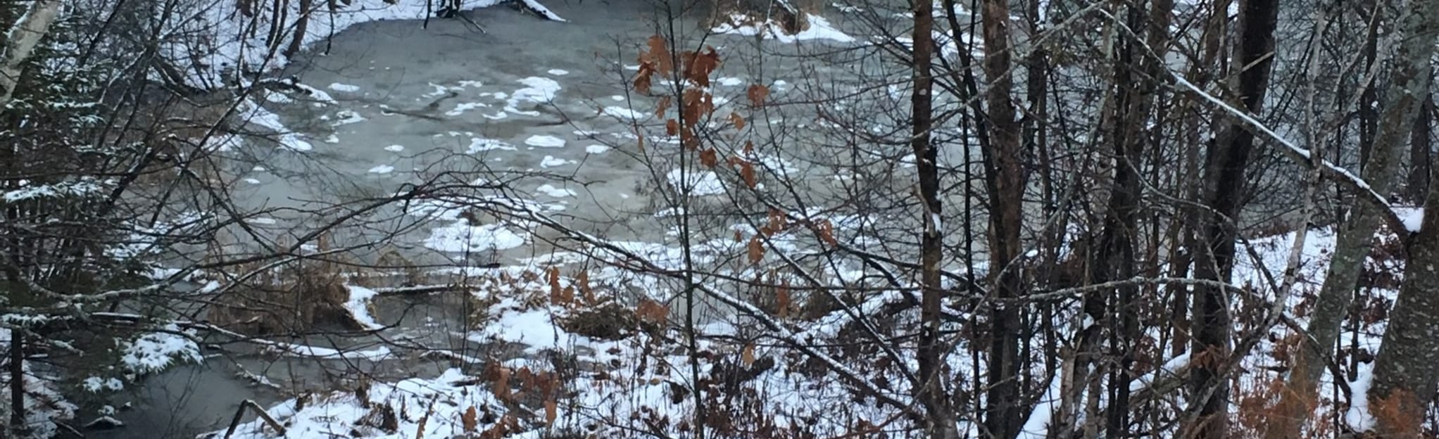 Lockhart & Ryan Park Loop: 11 Reviews, Map - Nova Scotia, Canada ...