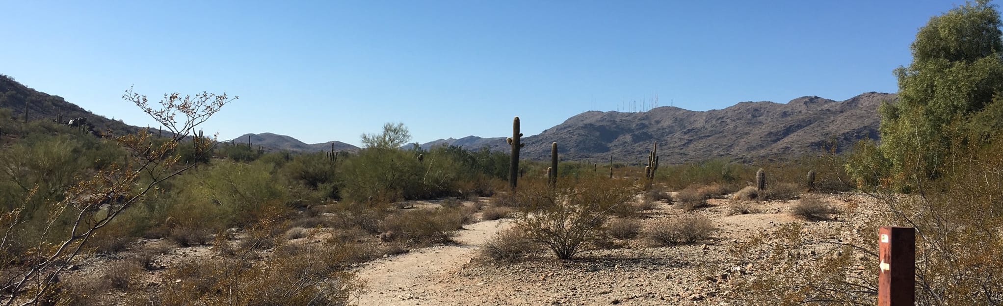South Mountain Hill Loop: 1127 Reviews, Map - Arizona | AllTrails