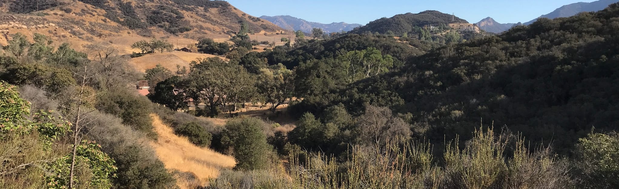 Coyote Canyon Trail to Hacienda Trail Loop, California - 83 Reviews ...