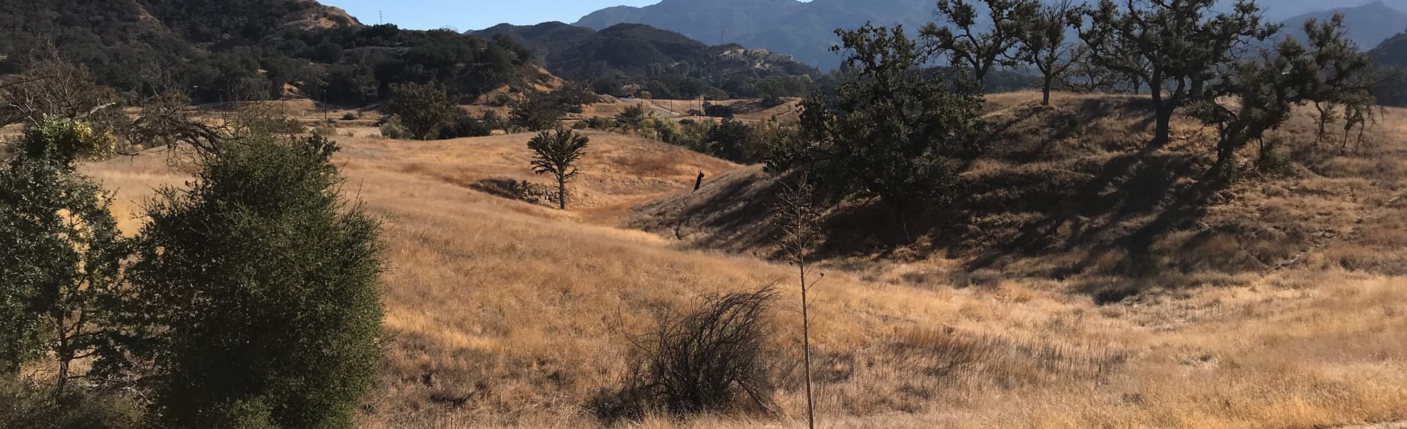 Paramount Ranch Perimeter Loop: 243 Reviews, Map - California | AllTrails