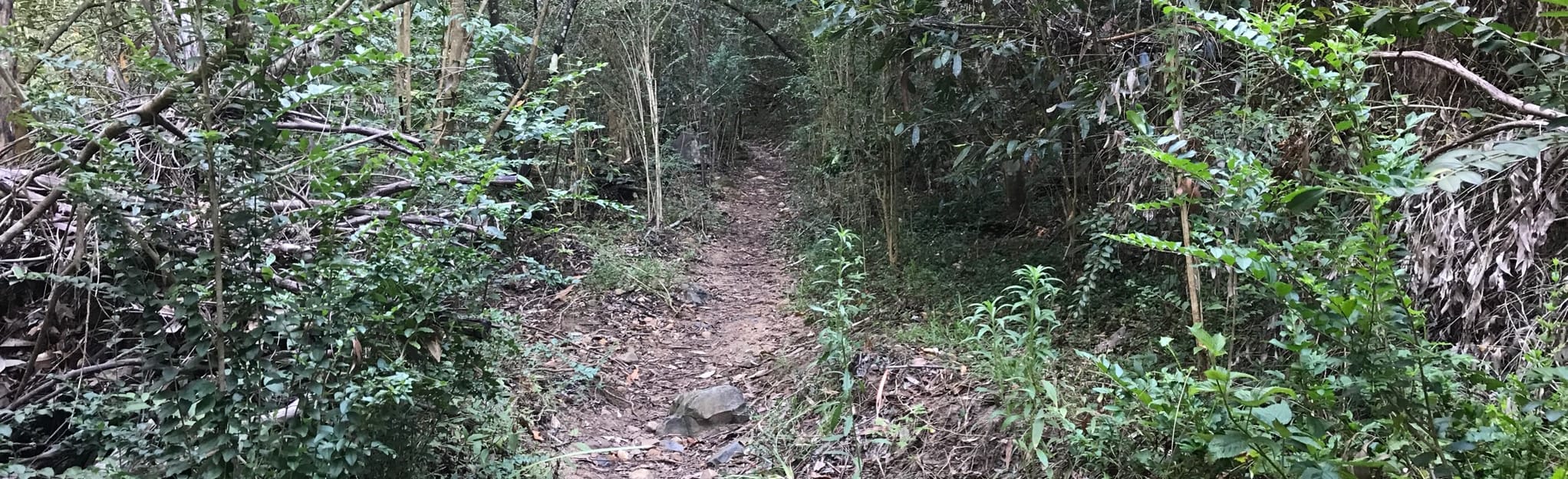 Murri-Yanna Track: 134 Reviews, Map - New South Wales, Australia ...