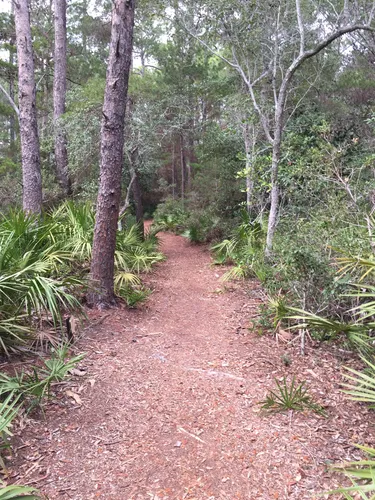 Best Hikes and Trails in Oak Tree Nature Park | AllTrails