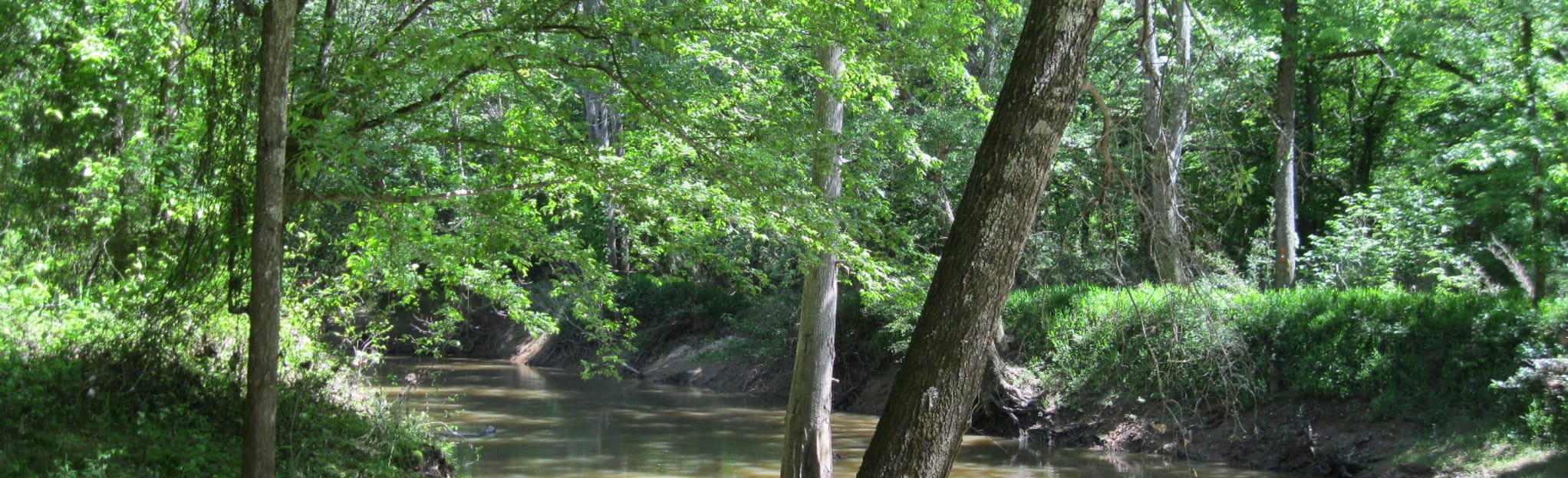 Davis Bridge Battlefield Trail: 11 Reviews, Map - Tennessee | AllTrails