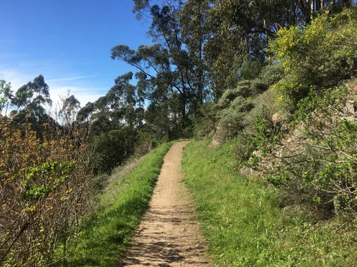 10 Best Walking Trails in Berkeley | AllTrails
