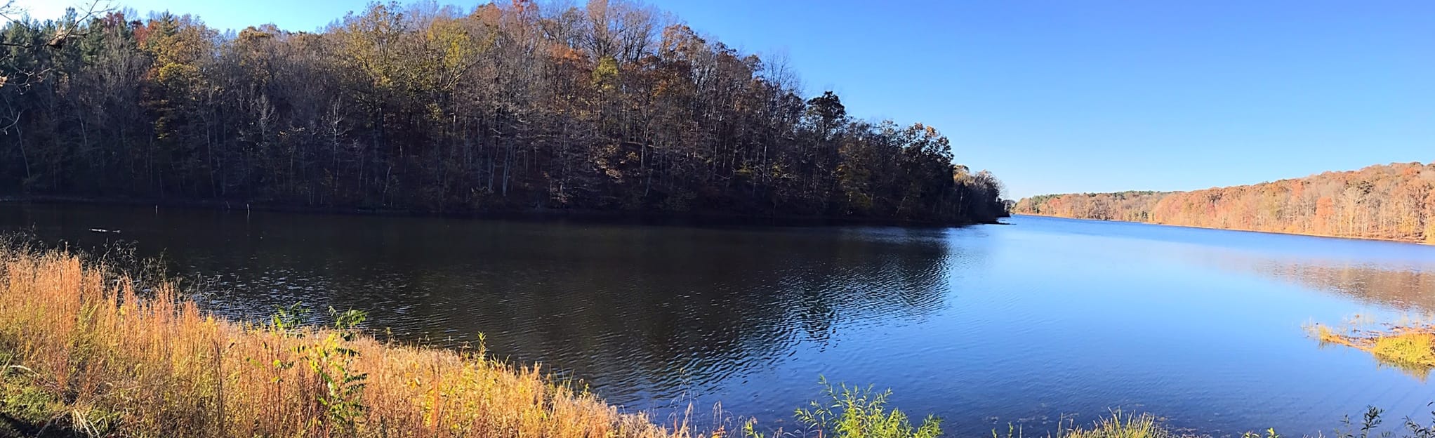 Celina Interpretive Trail: 37 Reviews, Map - Indiana | AllTrails