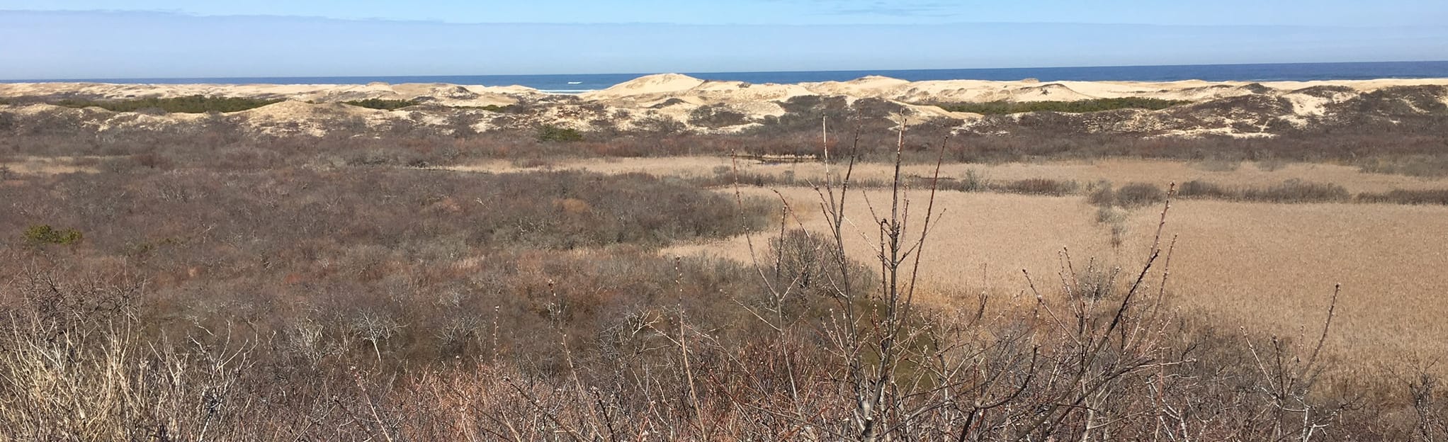 Pilgrim Spring Trail and Small's Swamp Trail: 117 Reviews, Map ...