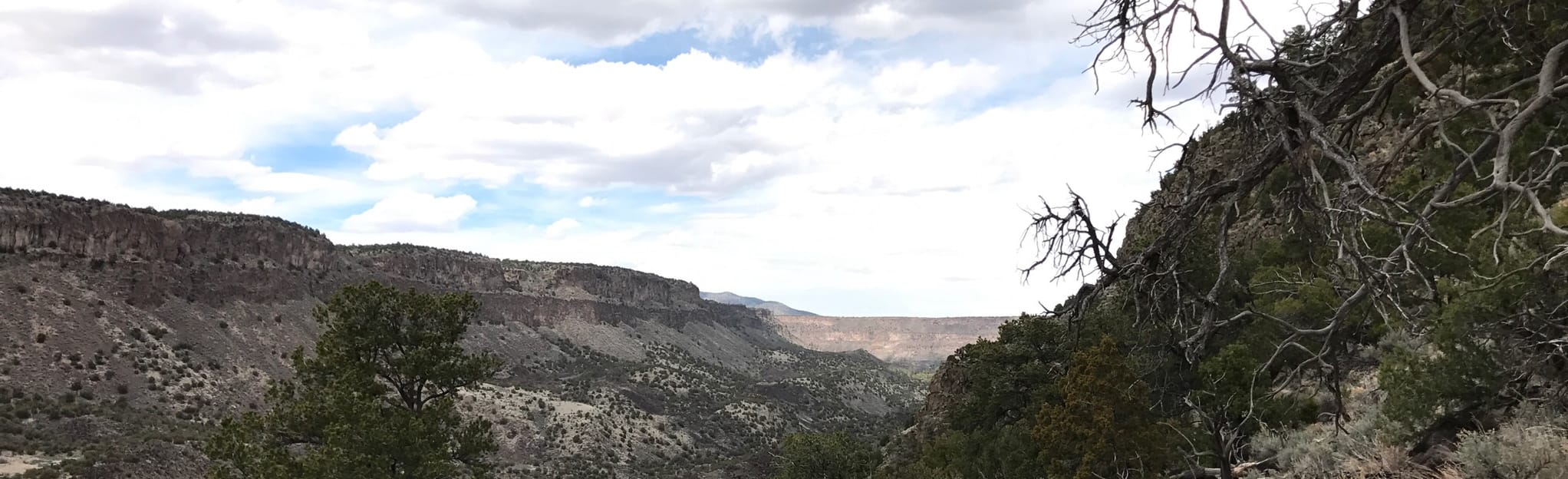 AllTrails | Cebolla Mesa: 127 Reviews, Map - New Mexico