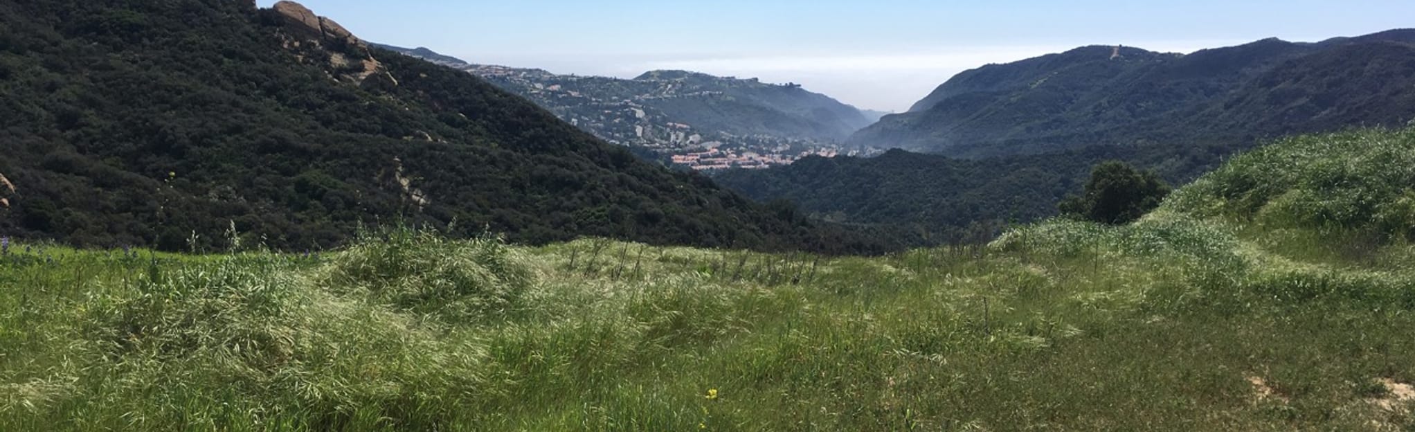 Palisades Highlands to Trippet Ranch, California - 167 Reviews, Map ...