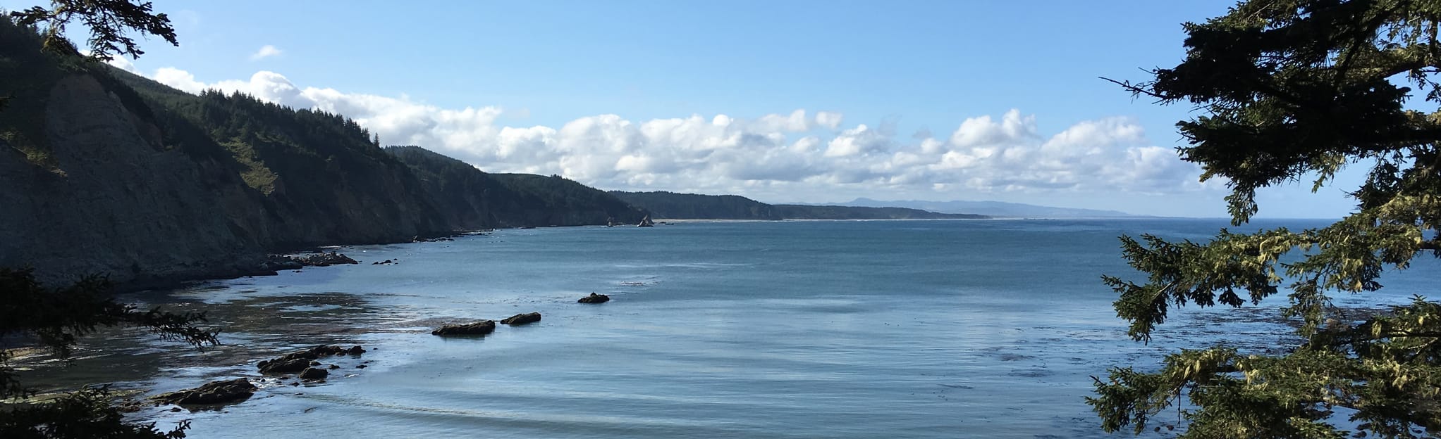 AllTrails | Cape Arago South Cove Trail: 53 Reviews, Map - Oregon