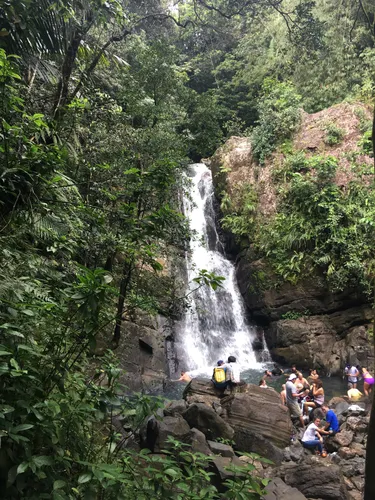 Best 10 Hiking Trails in El Yunque National Forest | AllTrails