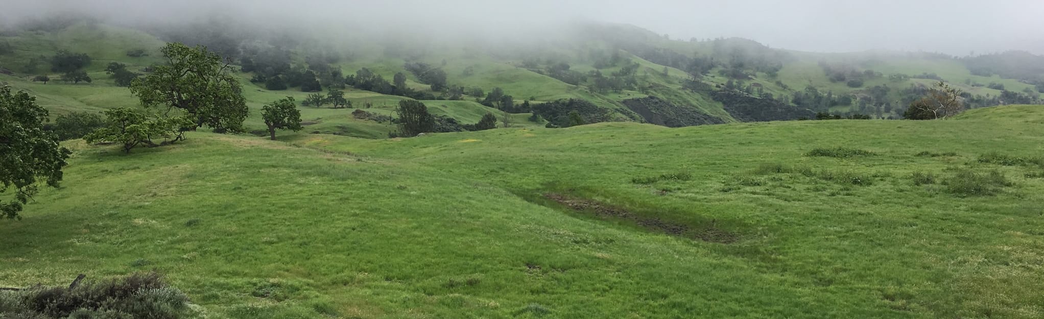 Happy Canyon Road, California - 7 Reviews, Map | AllTrails