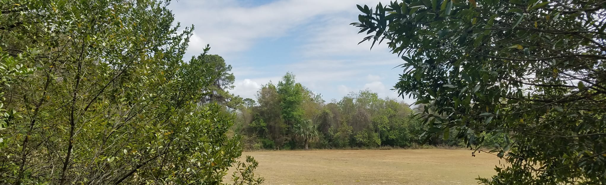 Spring to Spring Trail, Florida - 91 Reviews, Map | AllTrails