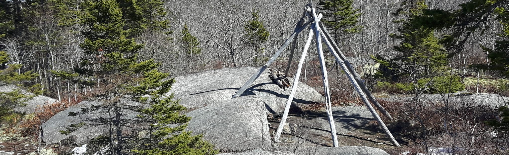 Birch Trail : 47 Reviews, Map - Nova Scotia, Canada | AllTrails