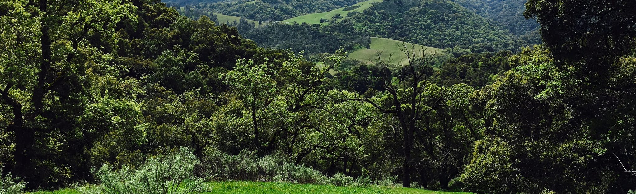 Indian Joe, Cave Rocks, High Valley, and Flag Hill Loop, California ...