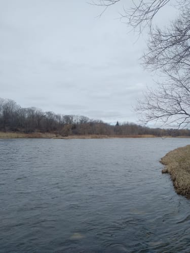 2023 Best 10 Trails and Hikes in Brantford | AllTrails