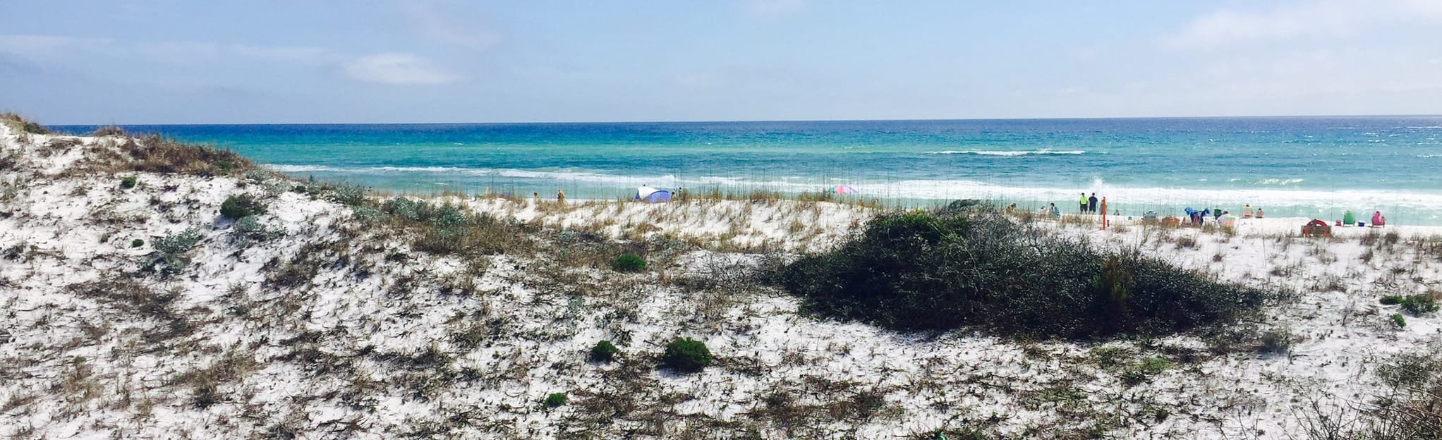 Topsail Trails Circuit: Campbell Lake, Morris Lake, and Old Growth ...