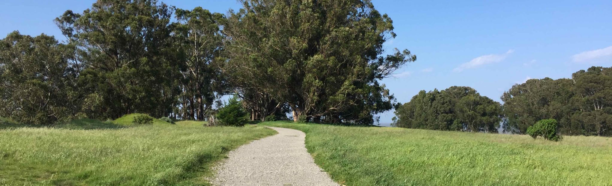 Bay Trail: Point San Pablo Peninsula to Point Pinole Regional Shoreline ...