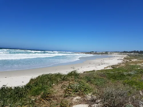 Best Hikes and Trails in Moss Beach | AllTrails