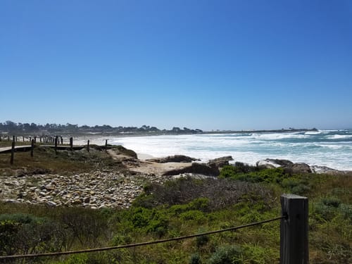 2023 Best 10 Trails and Hikes in Monterey | AllTrails